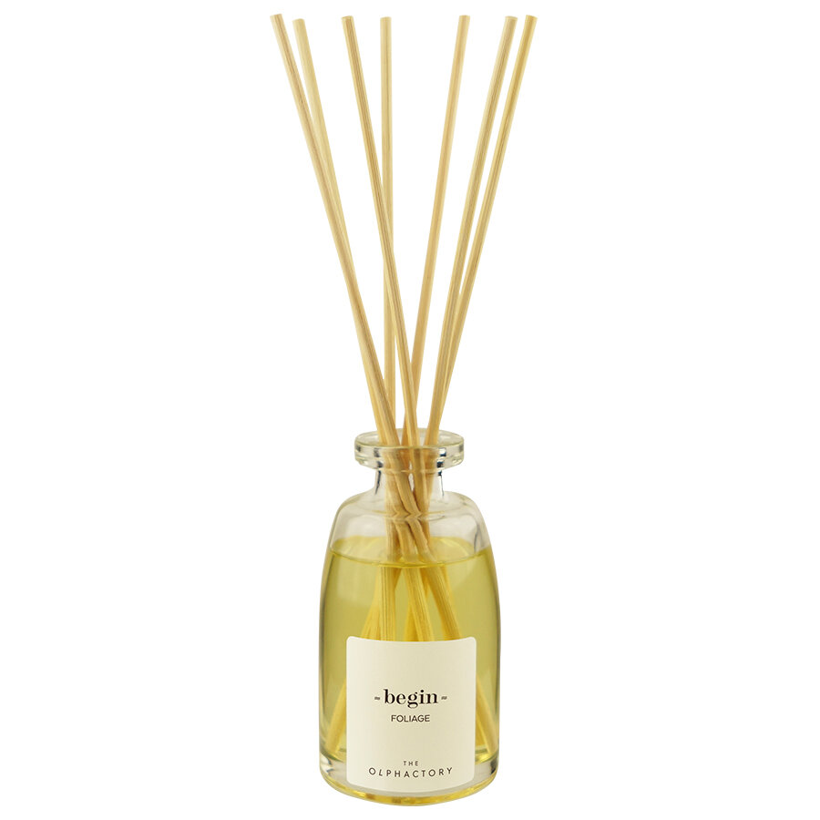 Диффузор ароматический Ambientair The Olphactory, Begin, Foliage, 100 мл
