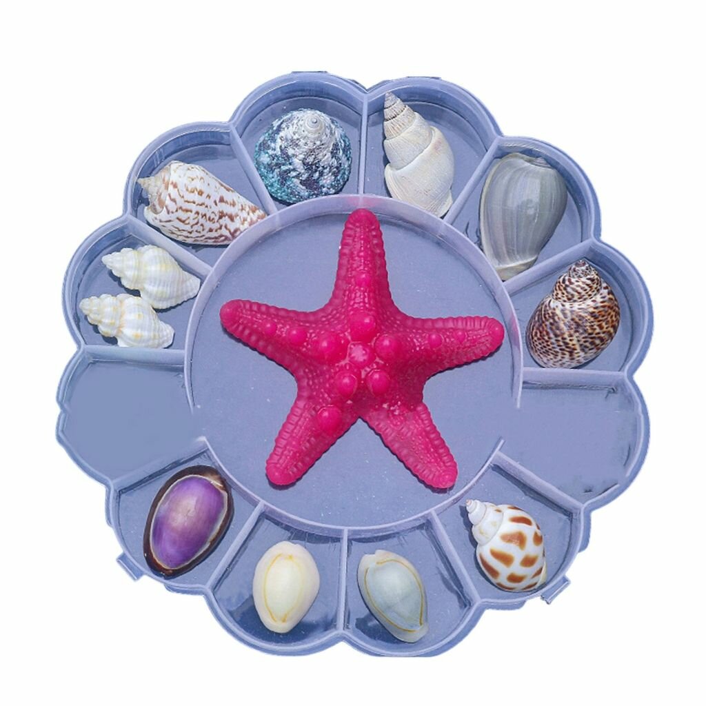 Коробка для хранения ракушек Новая Квадратная Прозрачная с прозрачными тенями