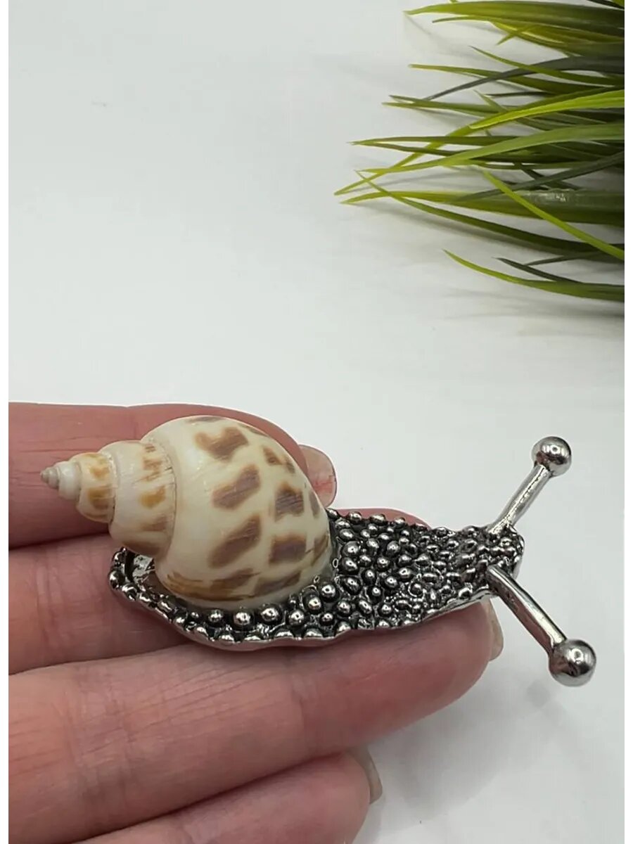 Брошь, ракушка