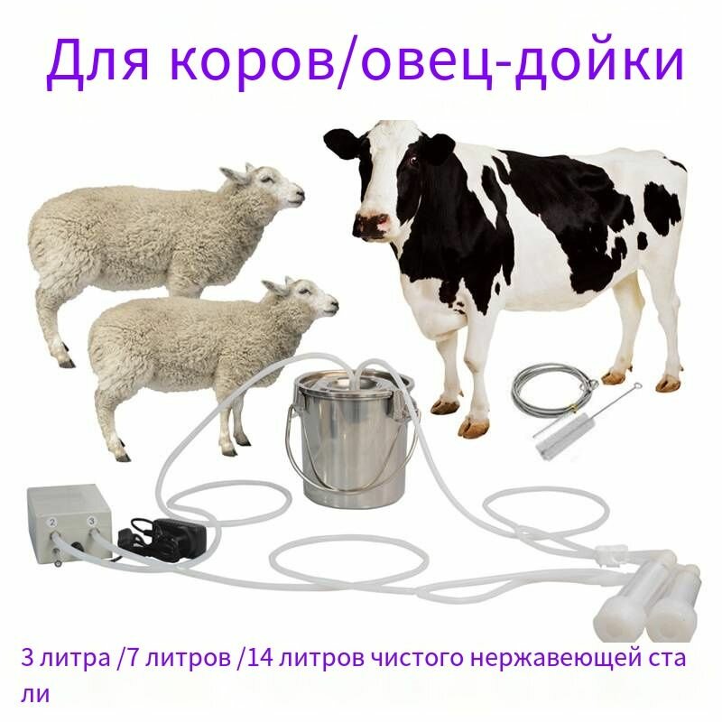 Импульсный доильный аппарат для крупного рогатого скота и овец. -jua