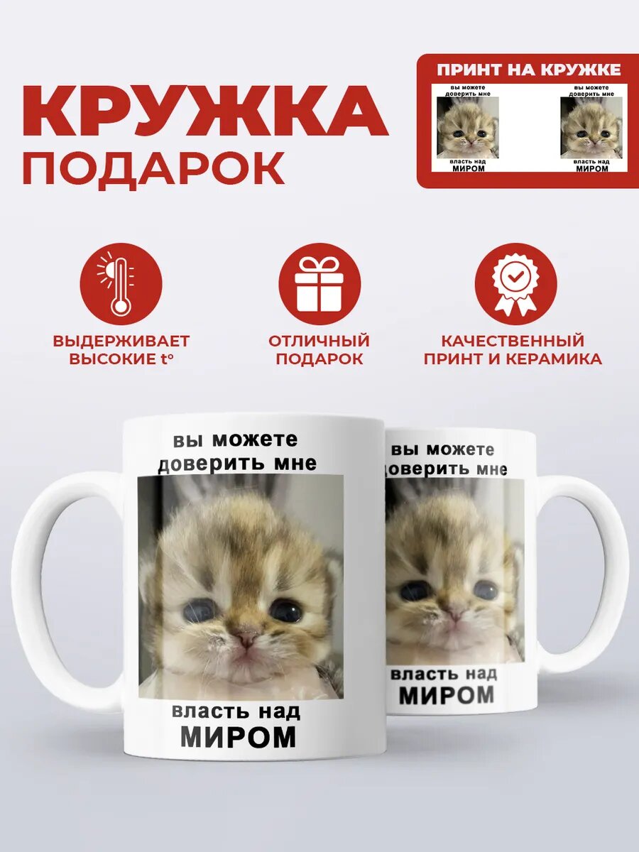 Кружка мем кот власть