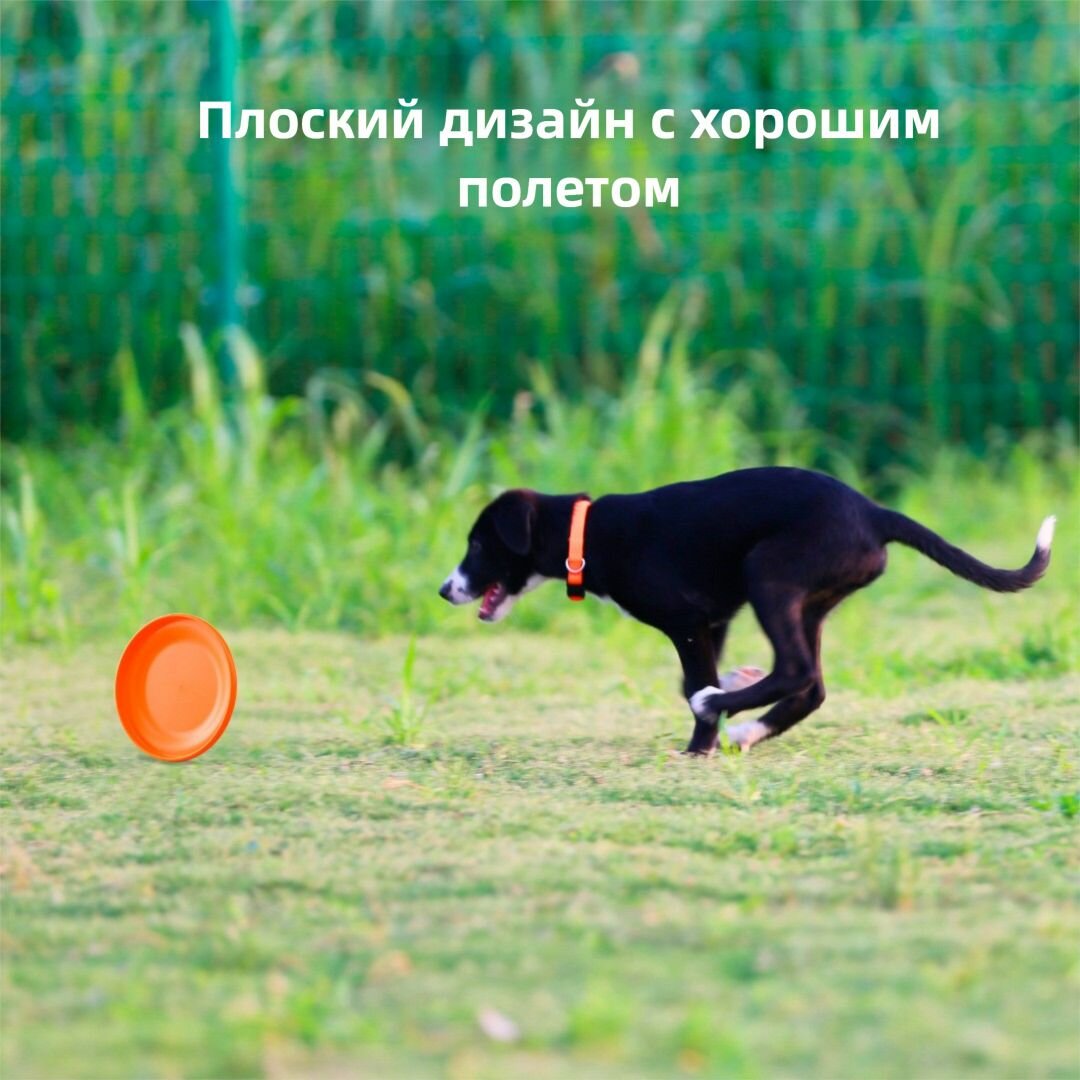 2025Соревновательный фрисби Meianju Стандартный диски для соревнований и активного отдыха!
