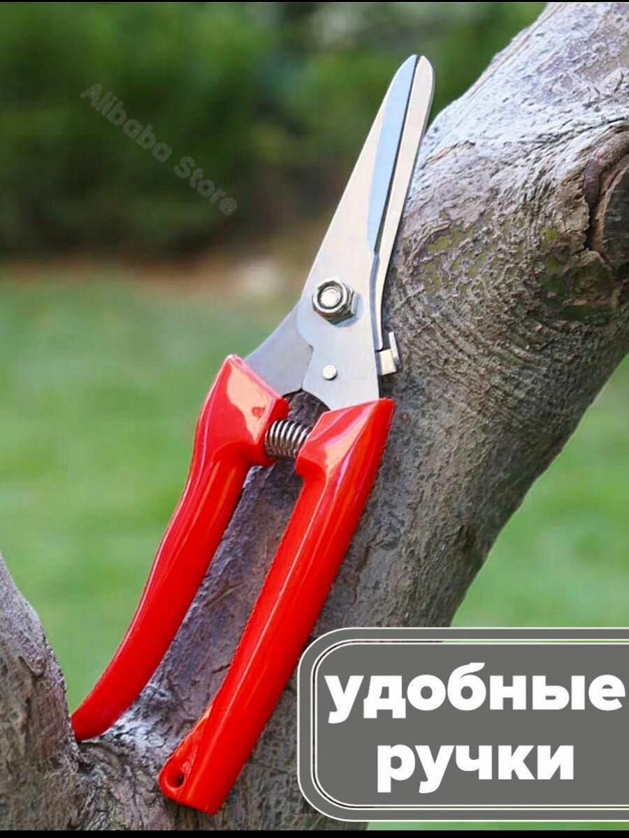 Ножницы садовые для цветов, веток и кустарников / секатор для сада и огорода
