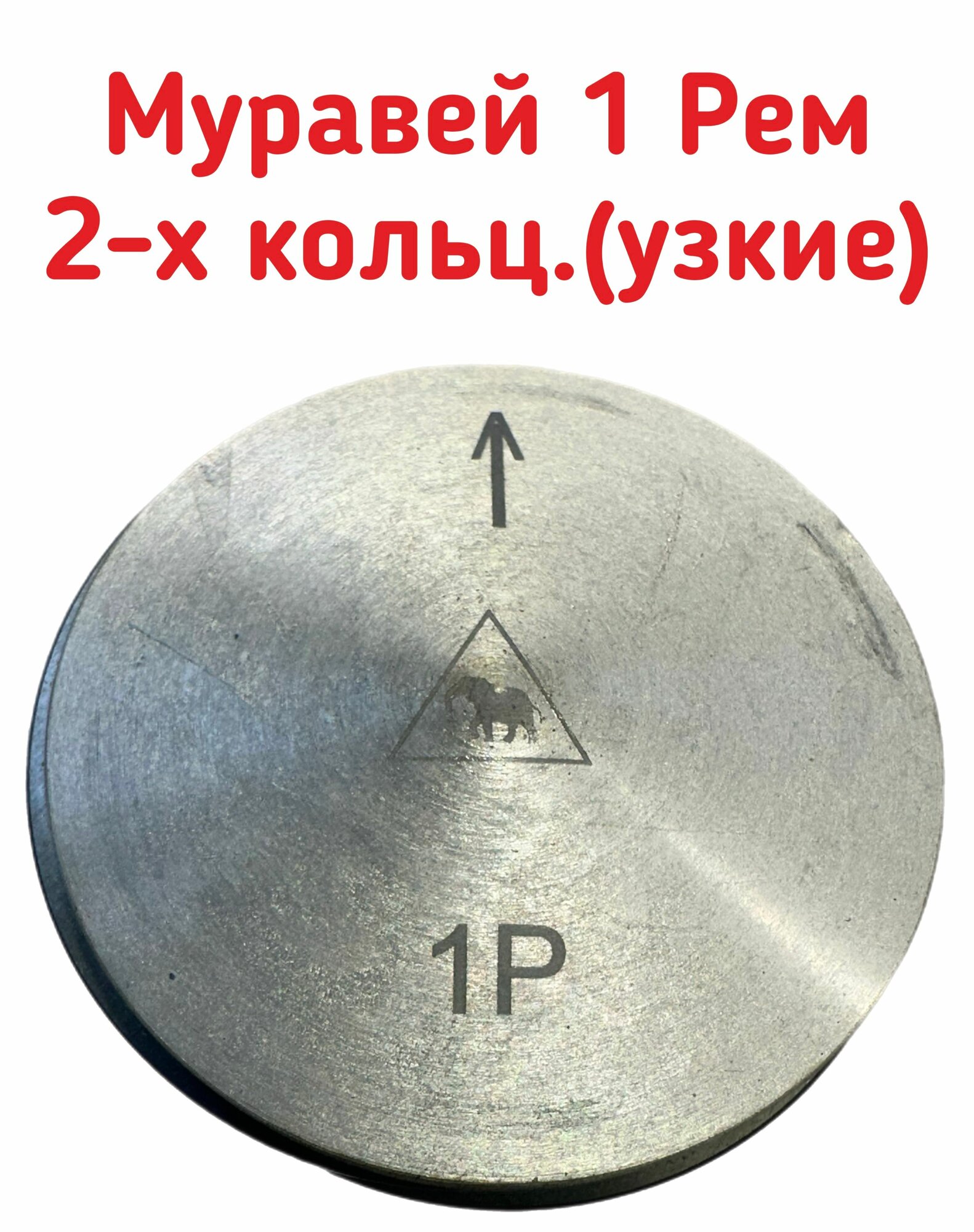 Поршень с кольцами Муравей 1 рем пр. Киров