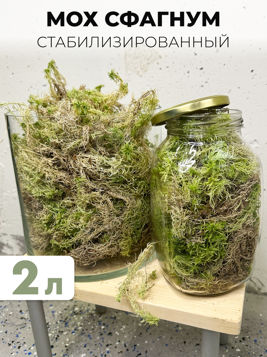 Мох сфагнум живой стабилизированный от Sinitsa Leaf для растений, рептилий, улиток, декора, 2 л
