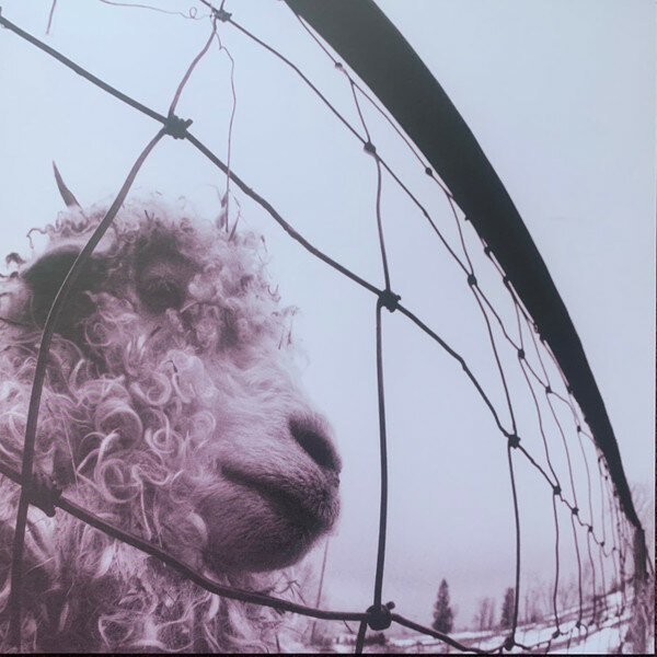 Виниловая пластинка Pearl Jam / Vs. (30th Anniversary Edition) (2LP)