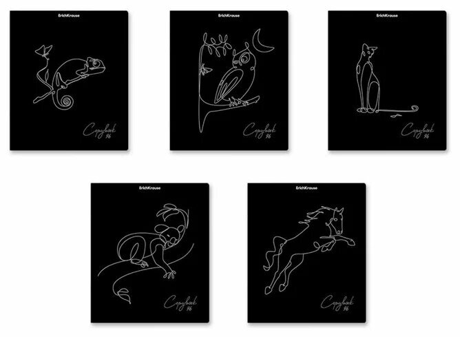 Тетрадь ErichKrause Silhouette 56100, мягкий картон, А5, в клетку, 96 Л, 5 шт