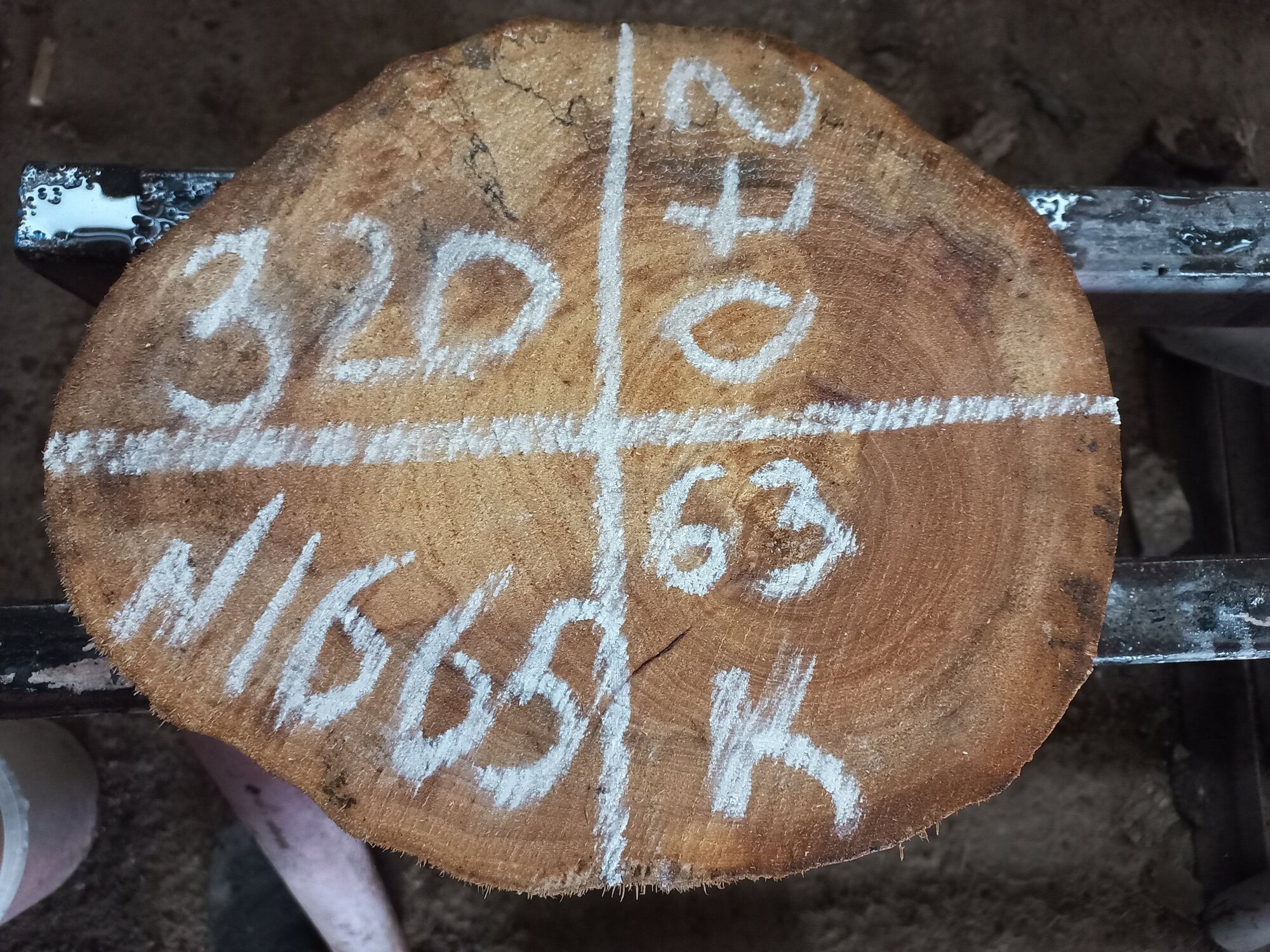 Спил торцевой доклес №1665 карагач, для столешниц и подоконников