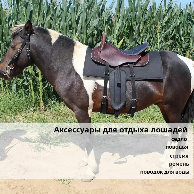 Прочное седло, подходящее для длительной езды верхом. Аксессуары для отдыха лошадей.