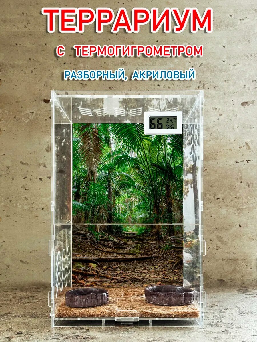 Террариум "Джунгли", акриловый, вертикальный, 9.8 л, для богомола, палочника, паука