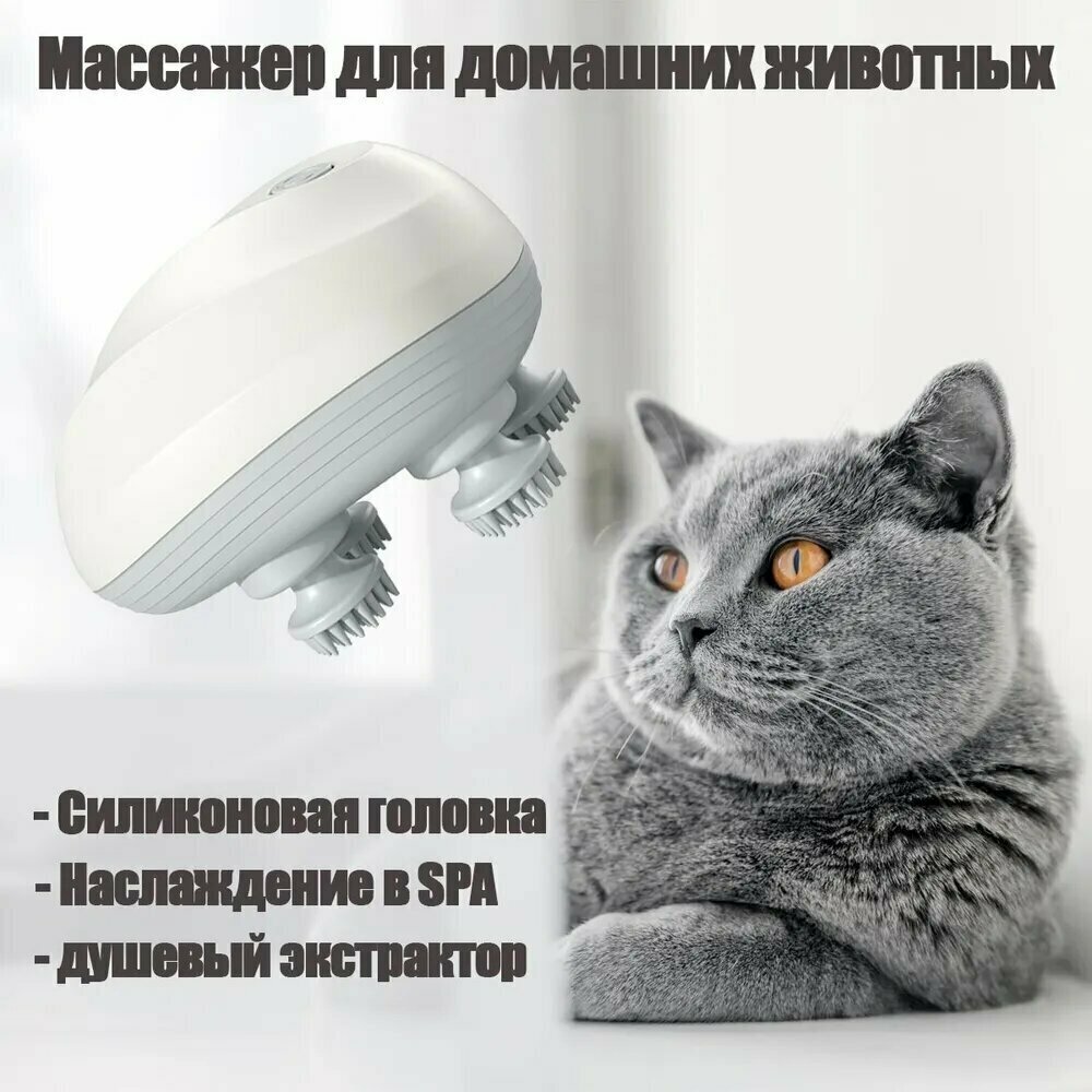 Массажер для кошек, электрический, 4 вращающиеся головки, 1200 мА/ч, USB-зарядка
