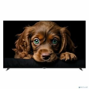 Телевизор TOPDEVICE Телевизор Topdevice TDTV55CQ08U_BK черный 55"/UHD/VA-QLED/Smart Wildred/2-8ГБ/БT