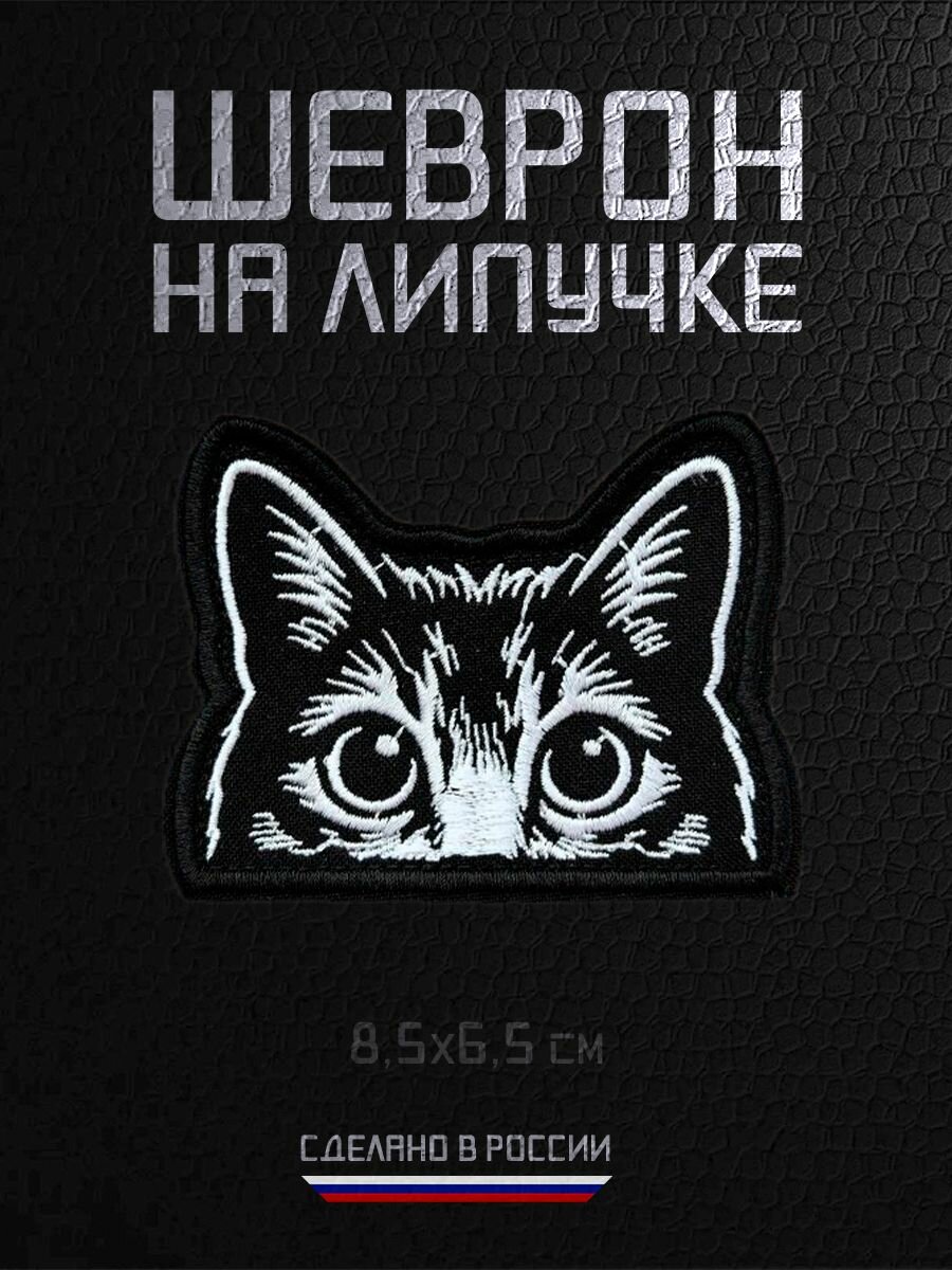 Шеврон на липучке нашивка "Кот выглядывает"