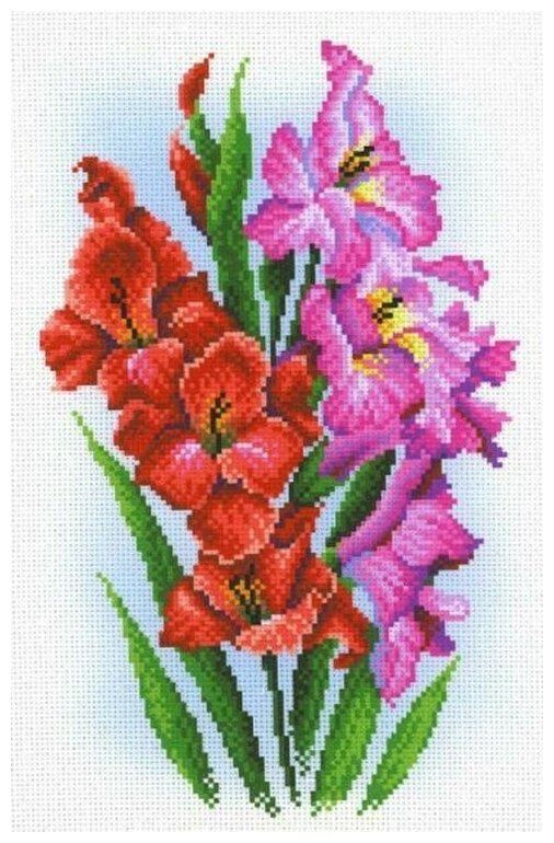 Рисунок на ткани М. П. Студия "Гордые гладиолусы", 30x40 см