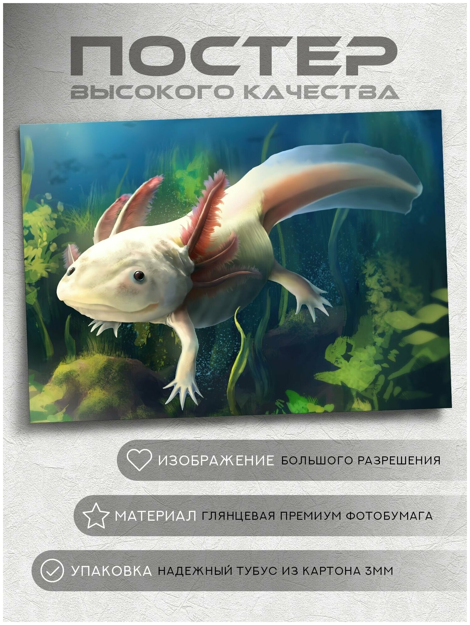 Постер Аксолотль, на А3