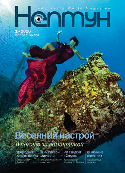 Нептун №1/2016 [Цифровая книга]