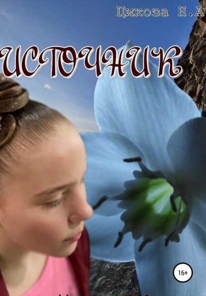 Источник [Цифровая книга]