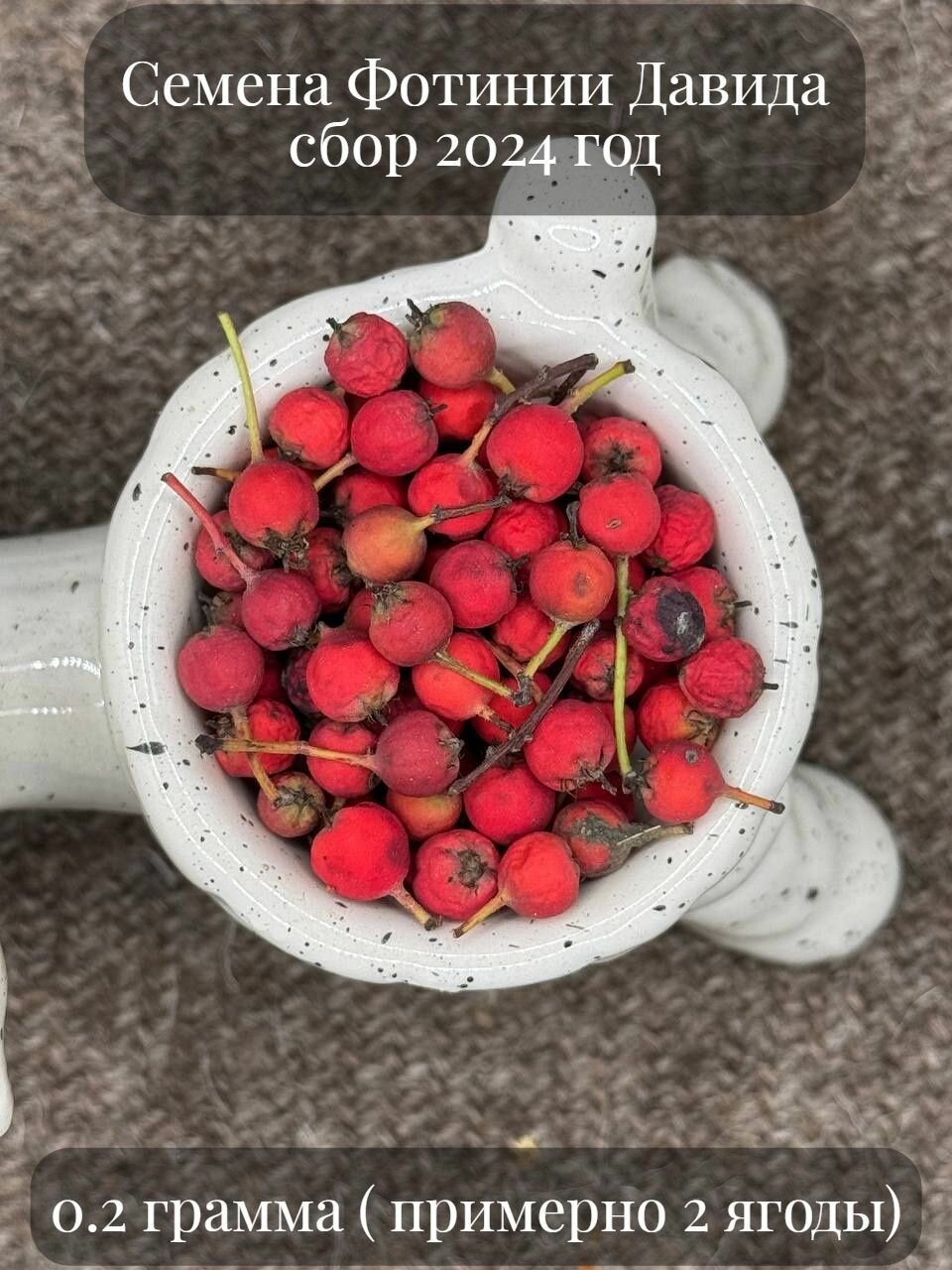 Семена Фотинии Давида, 0.2 грамма (примерно 2 ягоды)