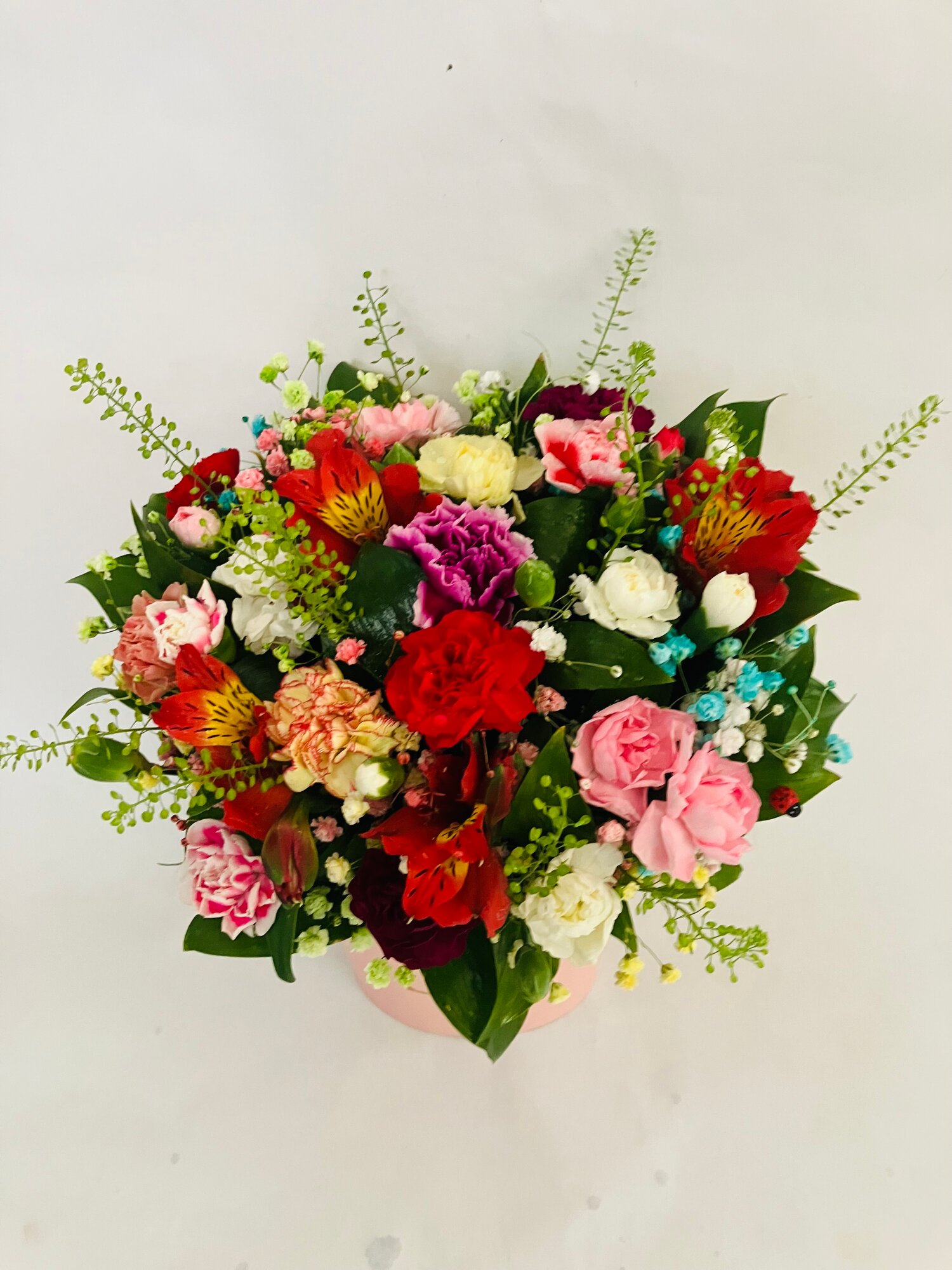 Букет Композиция из кустовых гвоздик с красной альстромерией и гипсофилой в розовой коробке