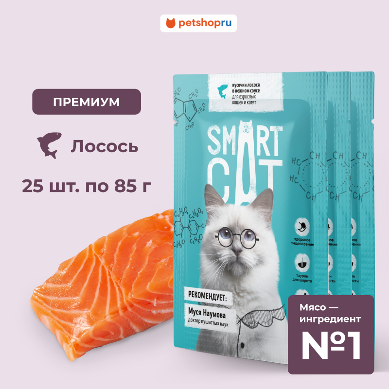 Smart Cat Паучи для взрослых кошек и котят кусочки лосося в нежном соусе. Влажный корм, 25шт х 85г