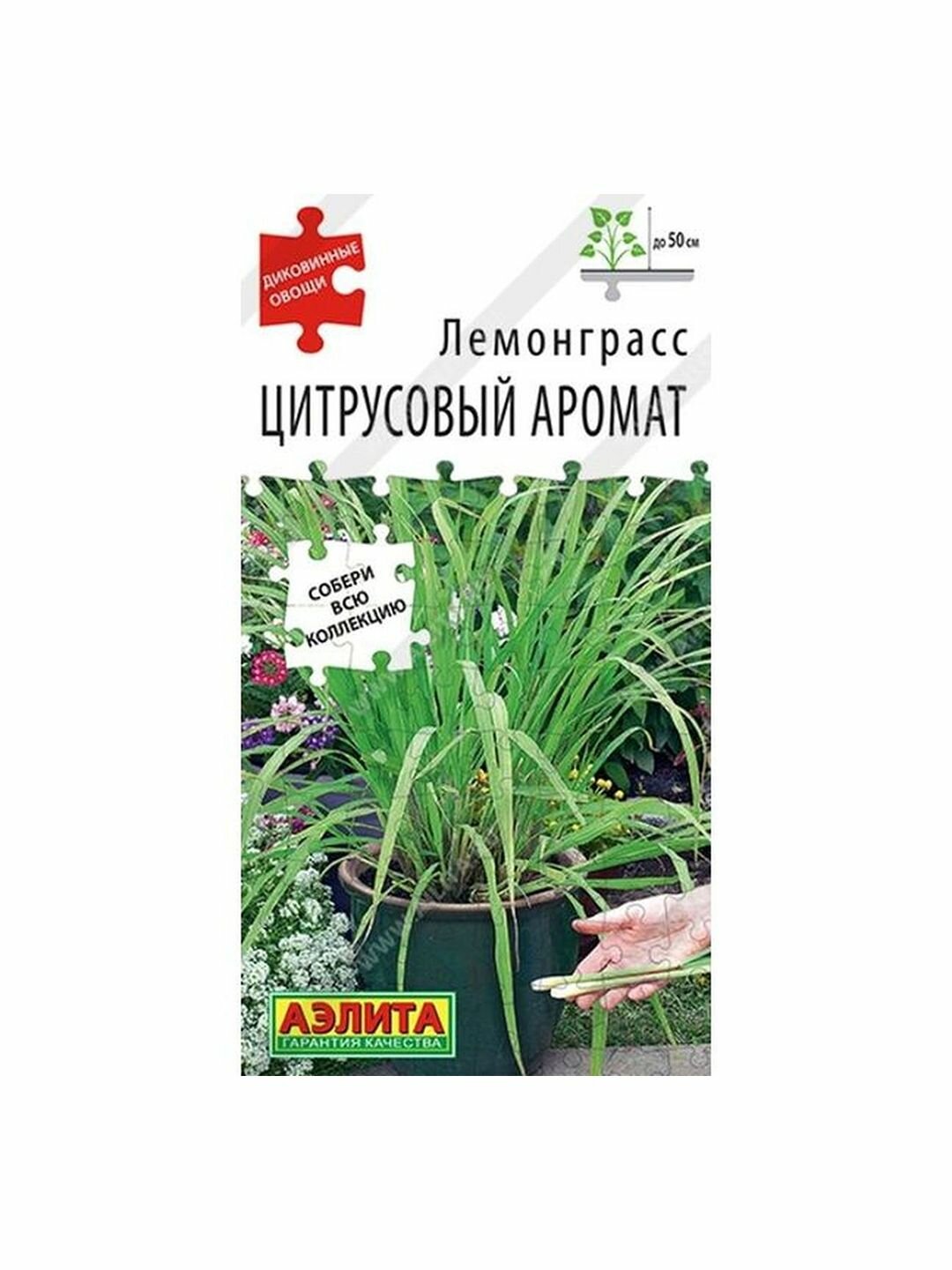 Семена Лемонграсс Цитрусовый аромат, Аэлита - Диковинные овощи, 1 пачка - 0.03г семян