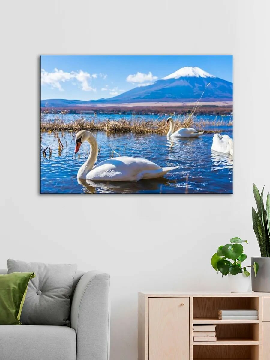 Картина на стену "Лебеди", 70х50 см