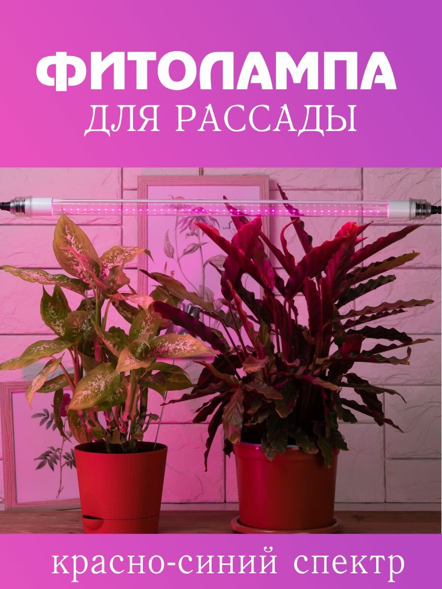 Фитолампа для растений светодиодная ЭРА FITO красно-синего спектра 18 Вт Т8 G13