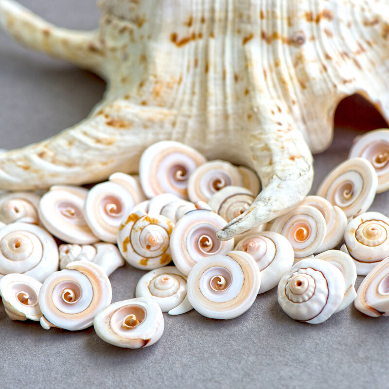 Бусины из Морской ракушки 15 шт, цвет бело-розовый, 23-20x18x10-8 мм