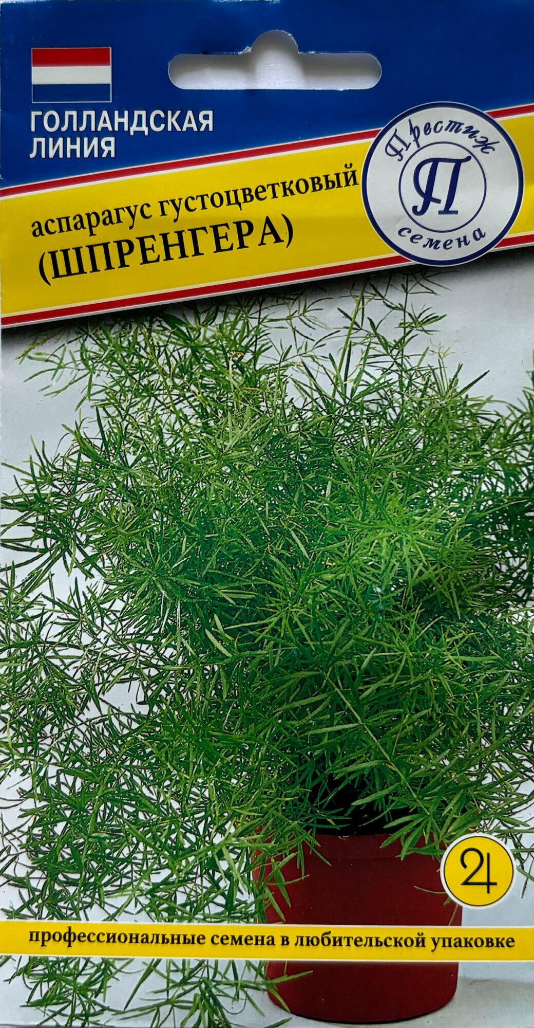 Семена Аспарагуса густоцветкового (Шпренгера) (5 семян).