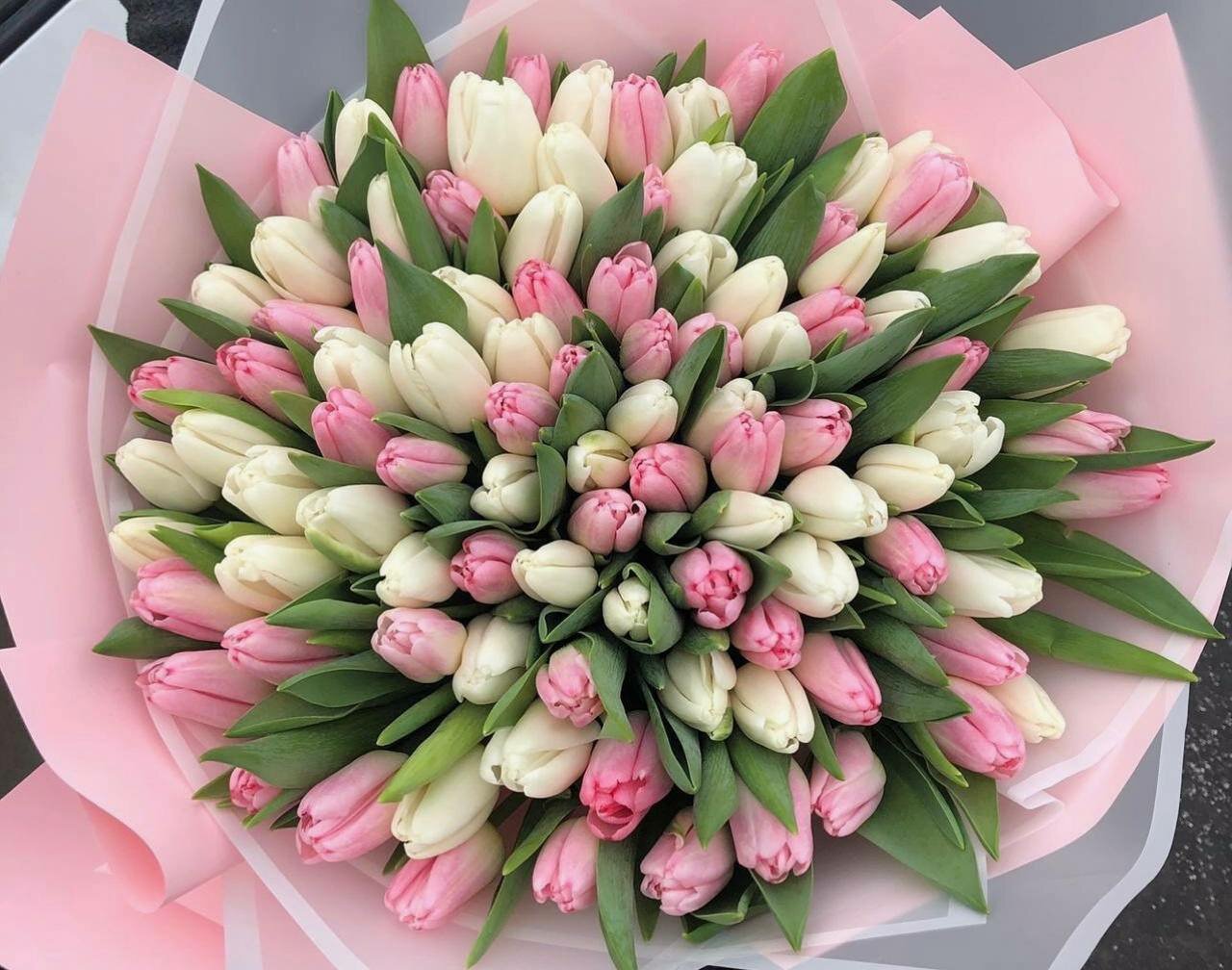 Премиум букет из ассорти прекрасных тюльпанов 101 шт, премиум цветы, шикарный, красивый букет цветов, тюльпаны белые.