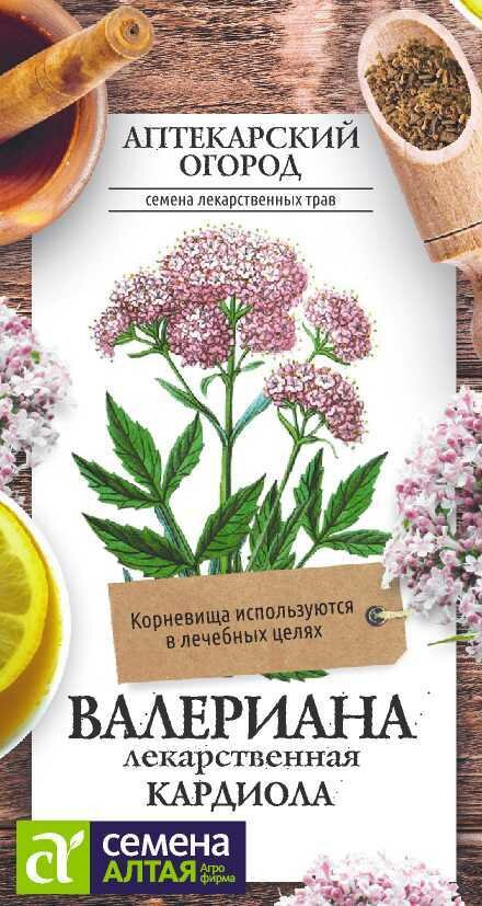 Семена валерианы "Кардиола лекарственная" 10 упаковок - травянистый многолетник. Стебель прямостоячий, высота от 40 до 120 см.
