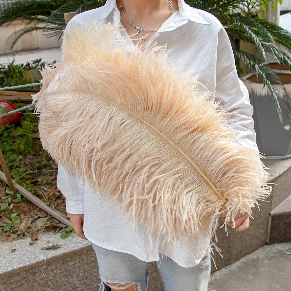 Страусиные перья WqlcraftS 10 шт. 15-60 см 15-20cm 6-8inch, Light Khaki