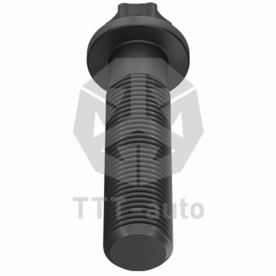 Болт суппорта тормозного M10*1*40 Wabco PAN 17/19-1plus/22-1/MAXX 17 14756 (TTT)