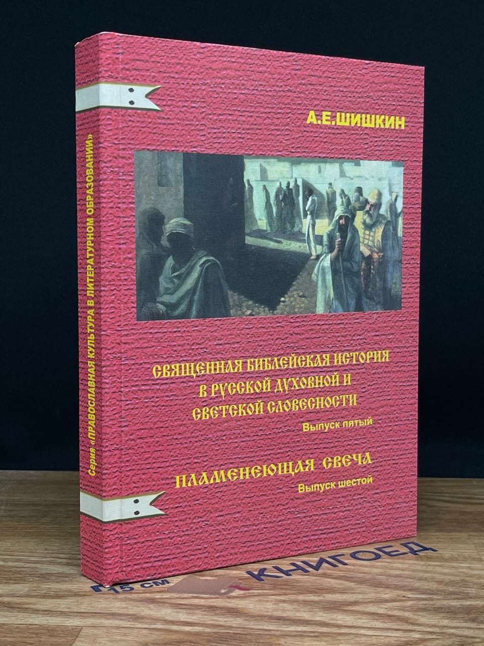 Книга. Свящ. Библейская история в рус. духов. словесности. Вып. 5-6 2007 (2044649653195)