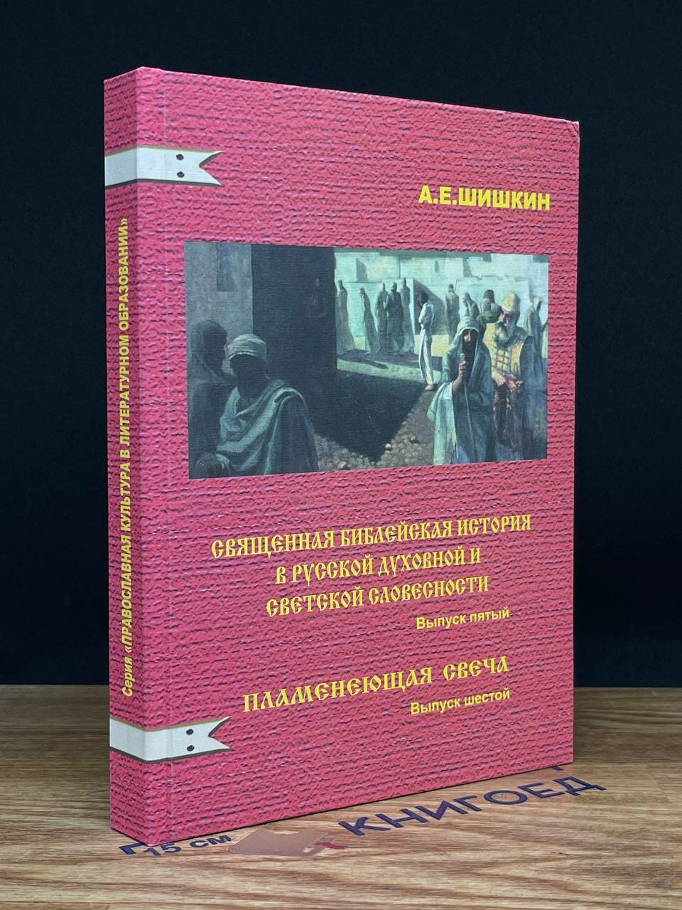 Книга. Свящ. Библейская история в рус. духов. словесности. Вып. 5-6 2007 (2044649795826)
