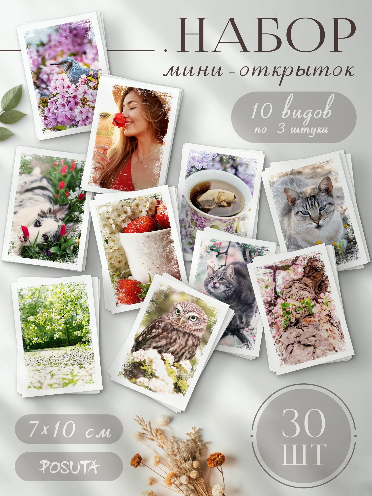 Набор открыток Весна