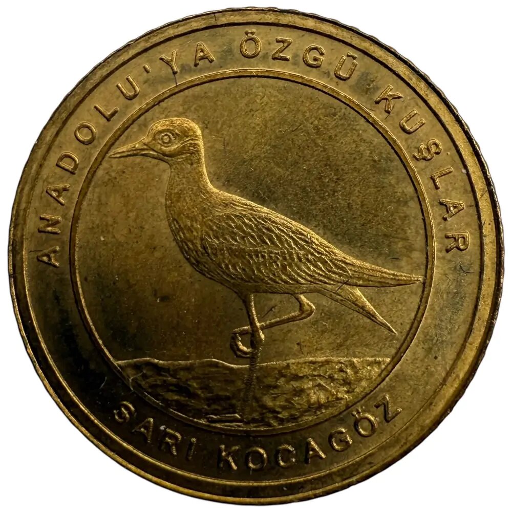 Турция 1 куруш 2021 г. (Птицы Анатолии - Авдотка)