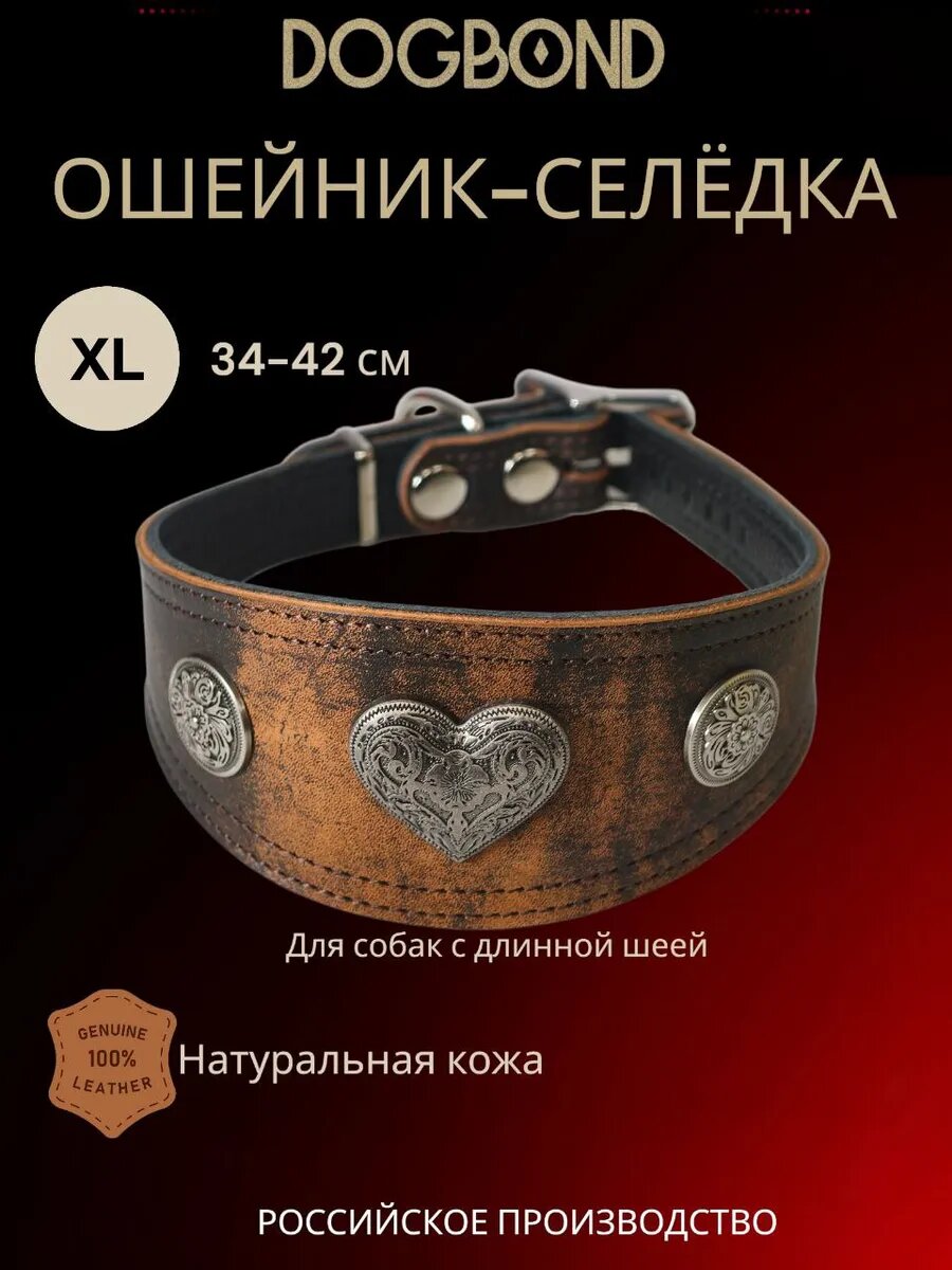 Ошейник-селедка Dogbond для грейхаундов и борзых собак