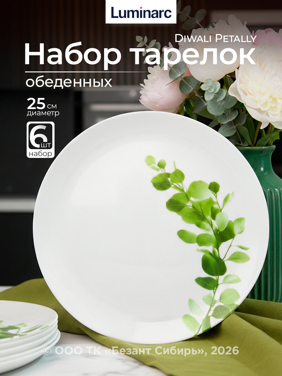 Набор тарелок обеденных DIWALI PETALLY 25см 6шт