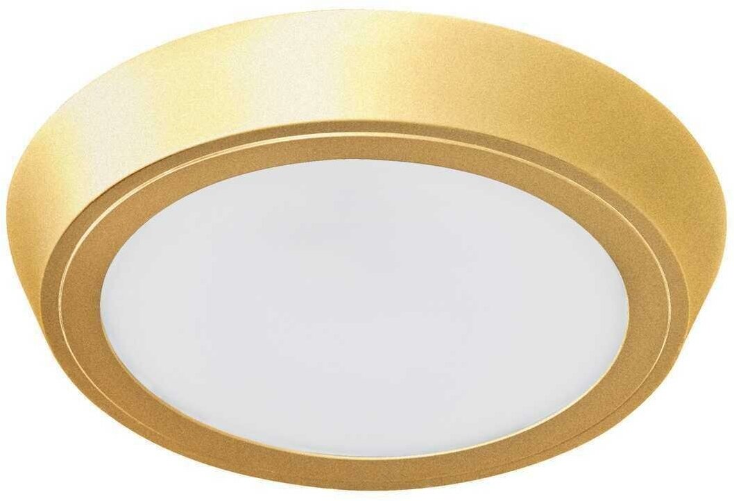 Потолочный светодиодный светильник Lightstar Urbano 216932