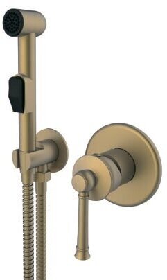 Комплект скрытого монтажа для биде ViEiR V273553D