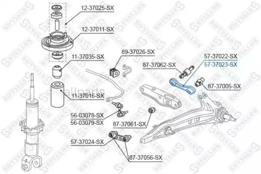 STELLOX 5737023SX рычаг задней подвески верхний правый!\ Honda Civic all 91-01