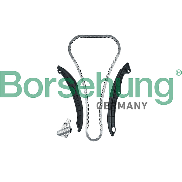 BORSEHUNG B17991 рем. к-кт цепи грм\ Skoda (Шкода) fabia, VW Polo (Поло) 1.2 07-14