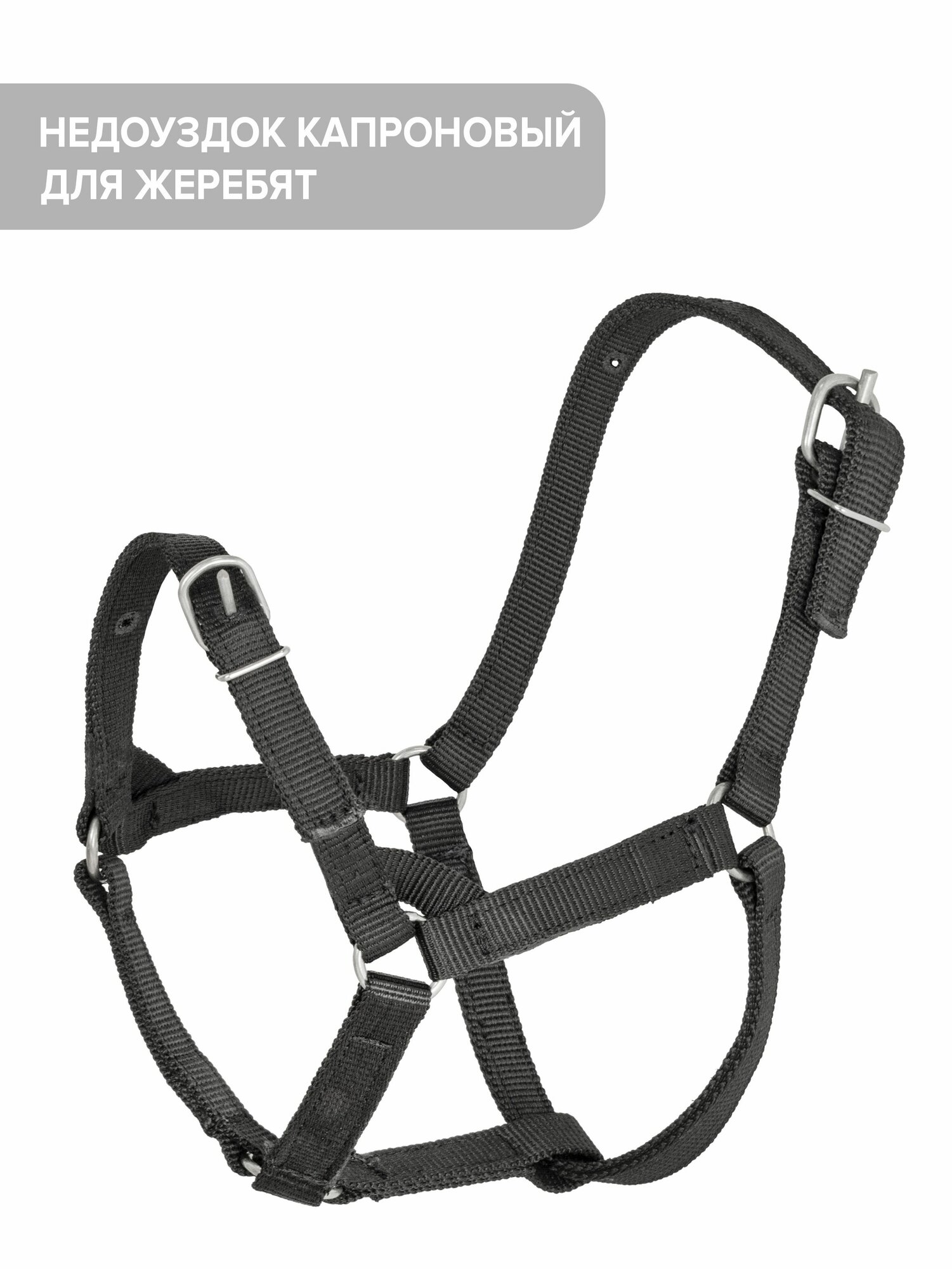 Недоуздок для жеребят двойной капрон регулируемый REITER