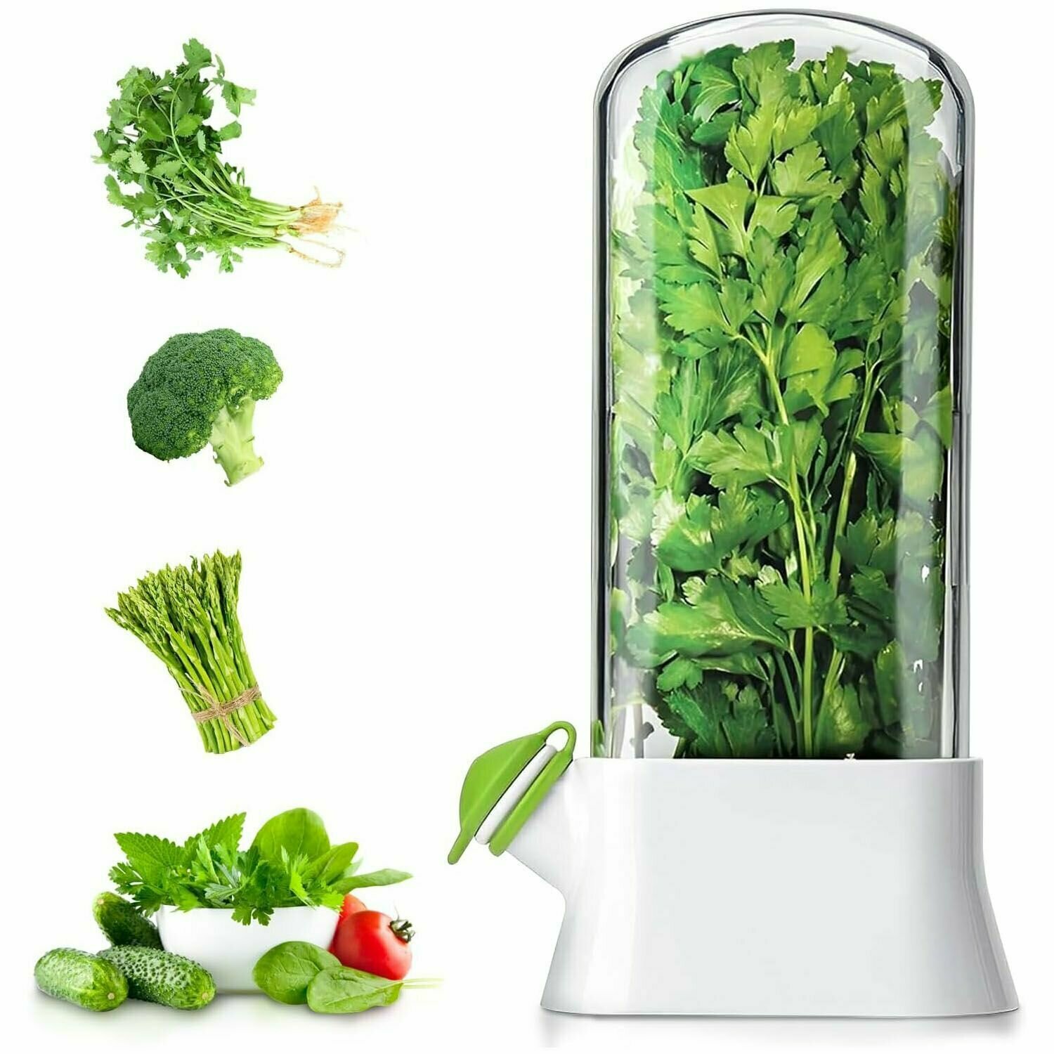 Контейнер для хранения зелени