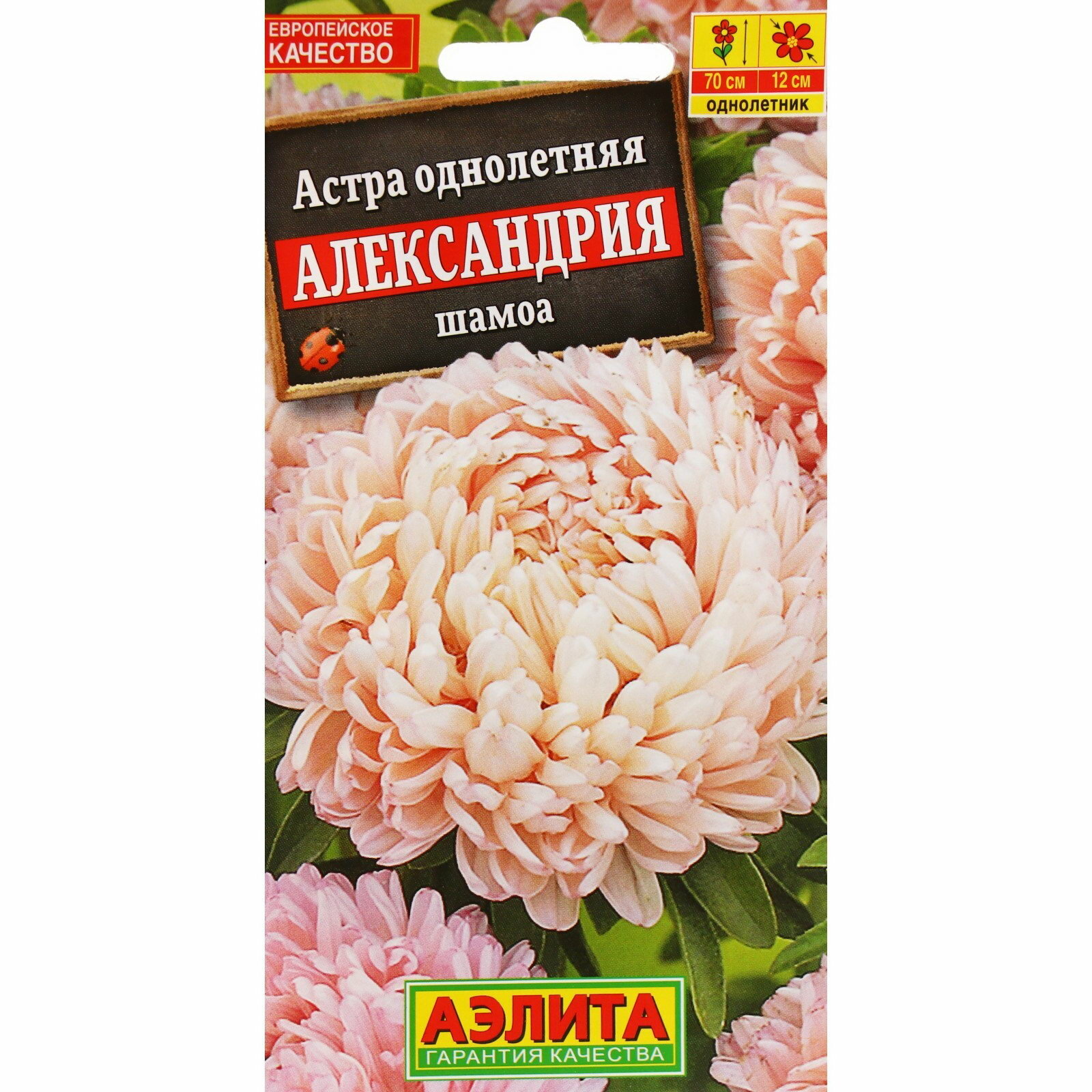 Семена Цветов Астра "Александрия шамоа", 0.1 г, вид: астра, посев на рассаду: апрель, 6 шт.