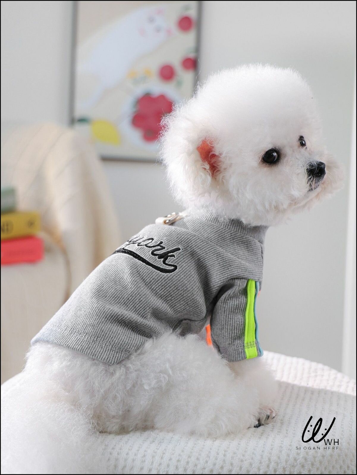 Одежда, CUTE DOG, которую могут носить как собаки, так и кошки, серая, высококачественная ткань, спортивный стиль отдыха