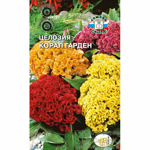 Семена Целозия Корал Гарден кристата (низкая смесь) 0,2 г (СеДеК)