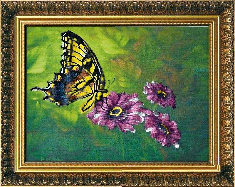 Герберы AB-019