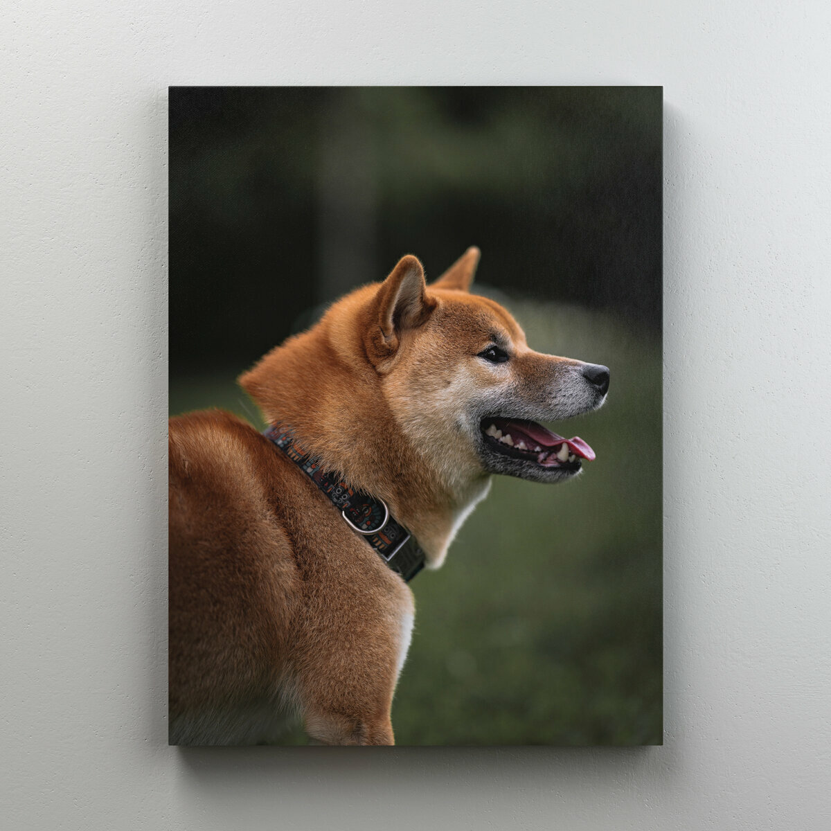 Интерьерная картина на холсте "Шиба Ину" собаки, размер 30x40 см